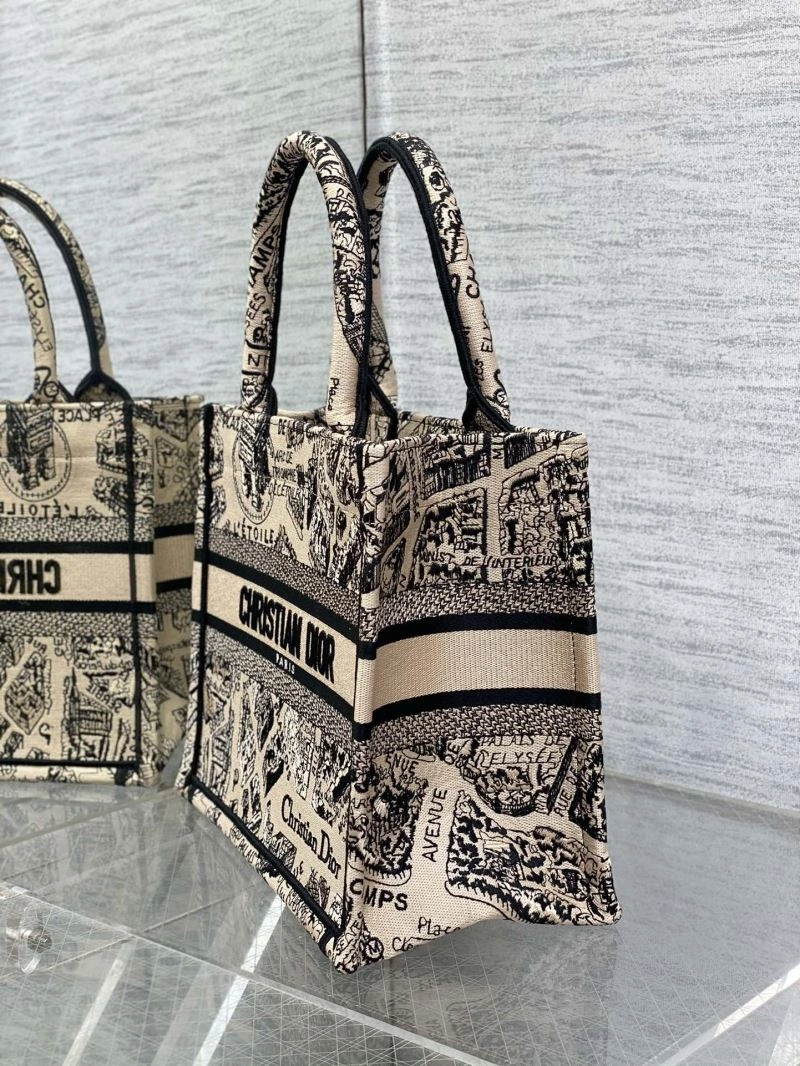 Official Christian Dior Shopping Bags