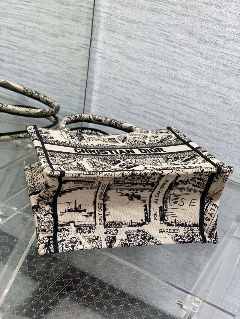 Official Christian Dior Shopping Bags