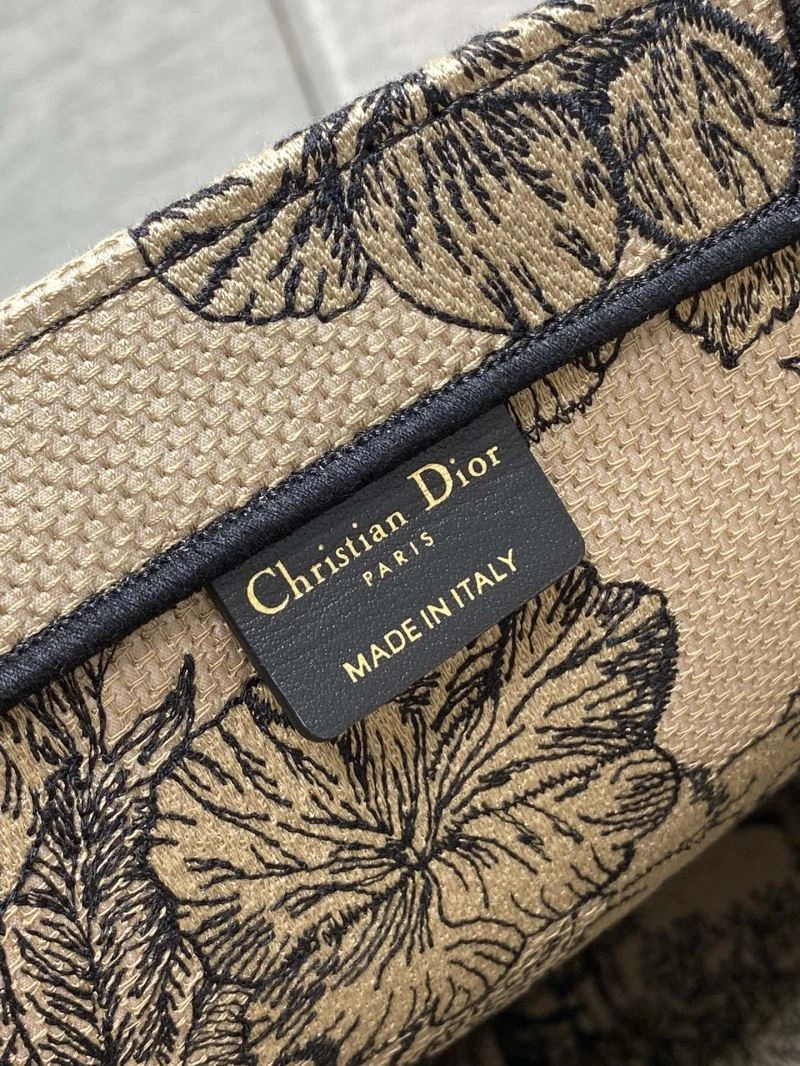Accurate model Christian Dior Shopping Bags