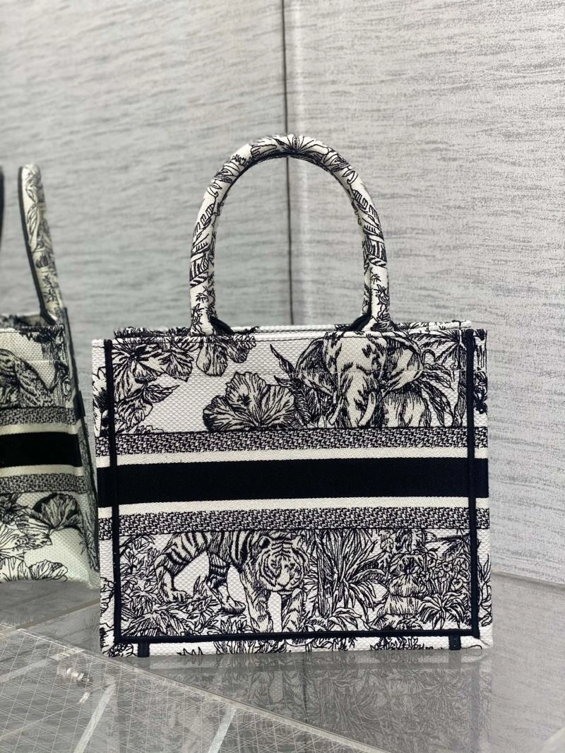Inexpensive Christian Dior Shopping Bags