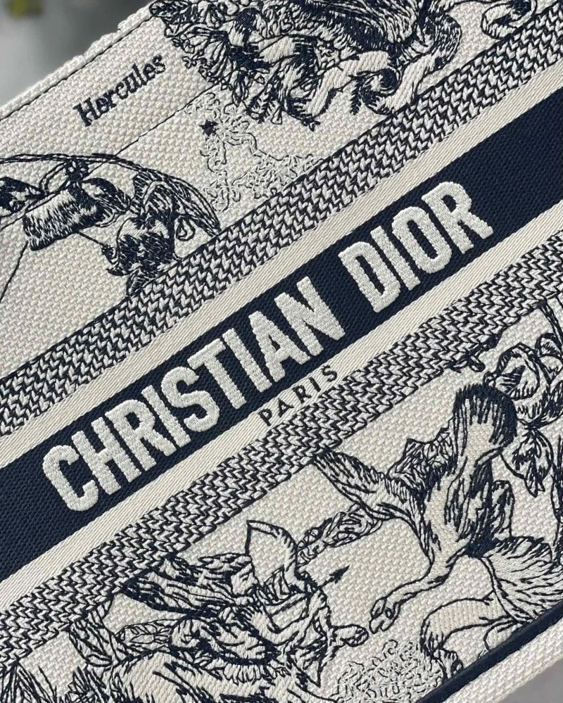 Low-cost Christian Dior Shopping Bags