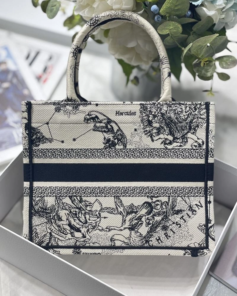 Low-cost Christian Dior Shopping Bags