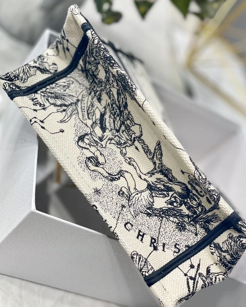 Low-cost Christian Dior Shopping Bags