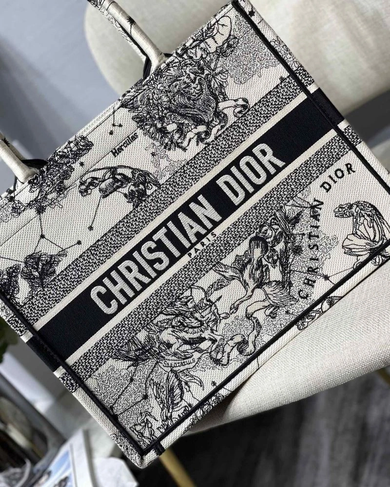 Legit Christian Dior Shopping Bags