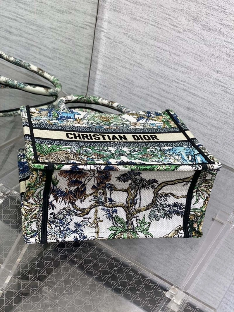 Accurate model Christian Dior Shopping Bags