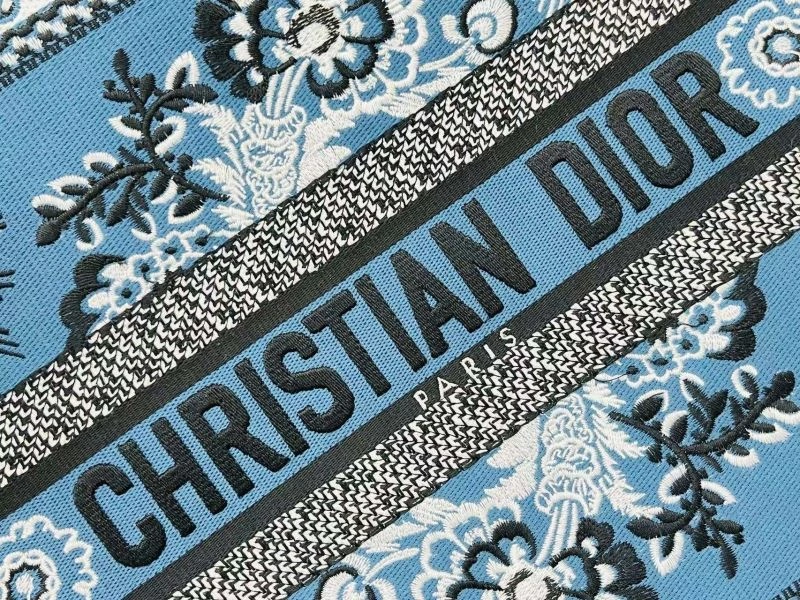 Accurate model Christian Dior Shopping Bags