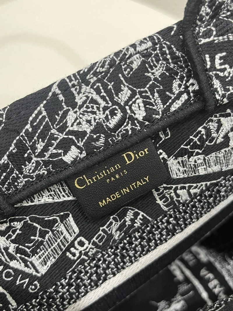 Official Christian Dior Shopping Bags