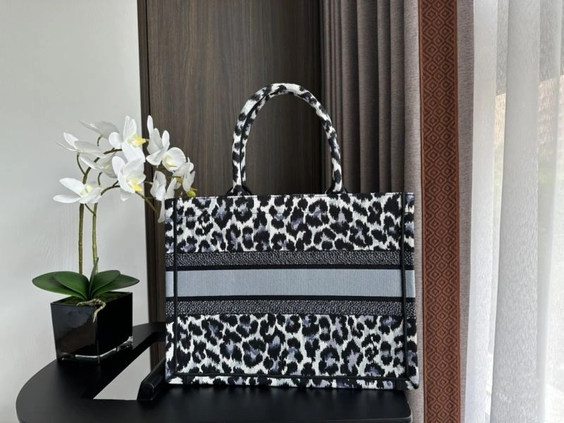 Budget-friendly Christian Dior Shopping Bags