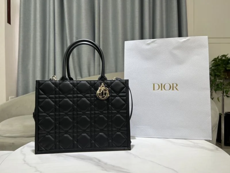 Christian Dior Shopping Bags