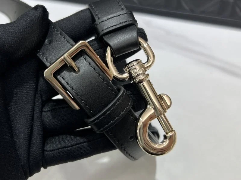 High accuracy Christian Dior Shopping Bags