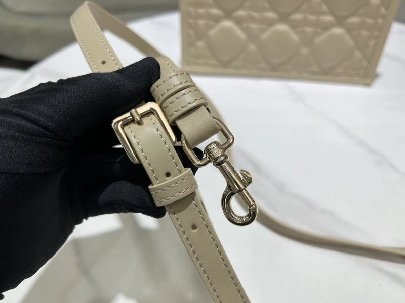 High accuracy Christian Dior Shopping Bags