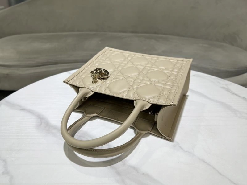 High accuracy Christian Dior Shopping Bags