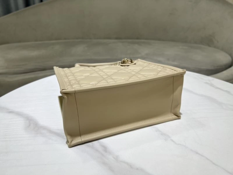 High accuracy Christian Dior Shopping Bags