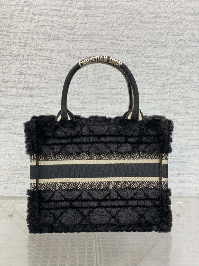 Accurate model Christian Dior Shopping Bags