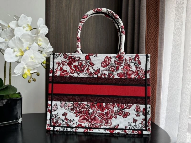 Budget-friendly Christian Dior Shopping Bags