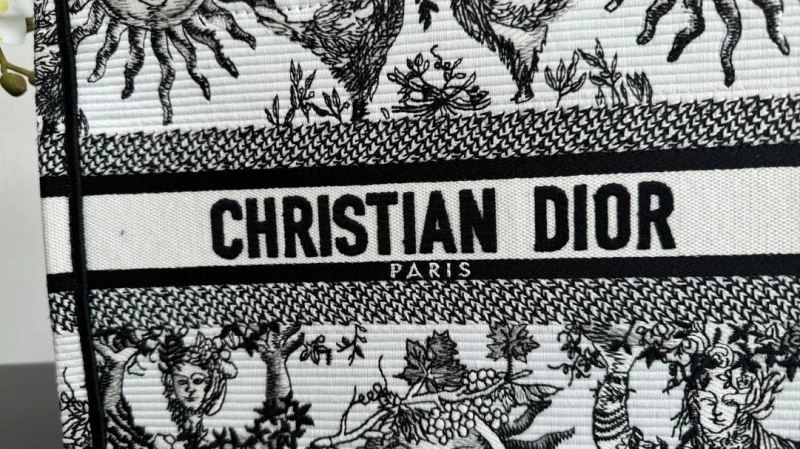 Brand-original Christian Dior Shopping Bags