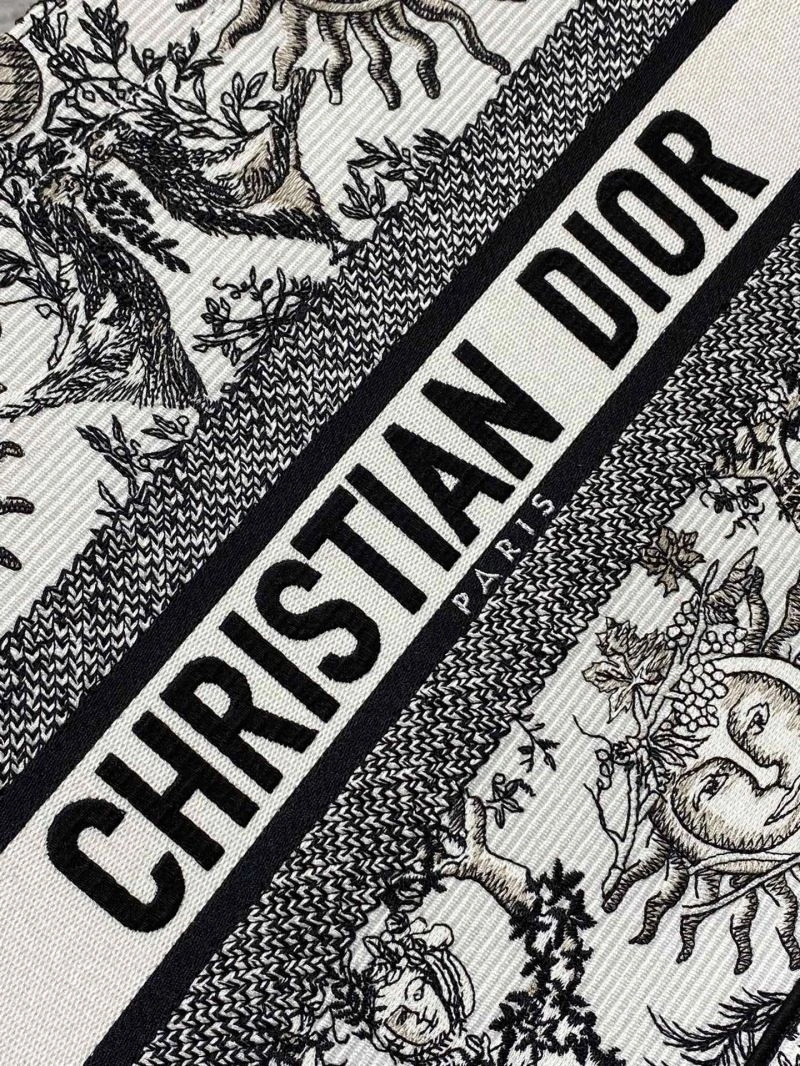 Official Christian Dior Shopping Bags