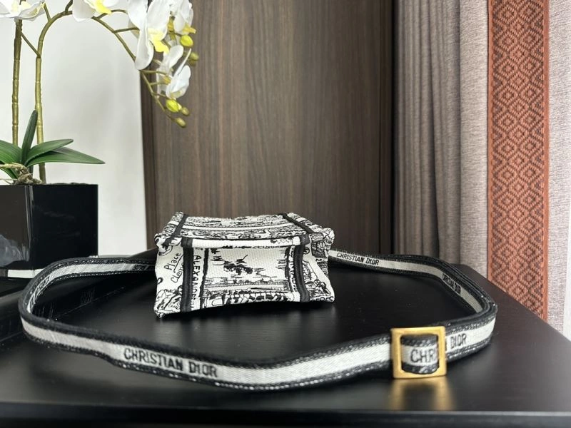 Economical Christian Dior Shopping Bags