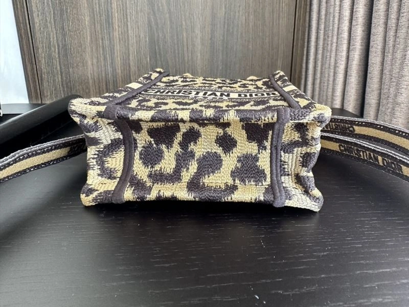 Inexpensive Christian Dior Shopping Bags