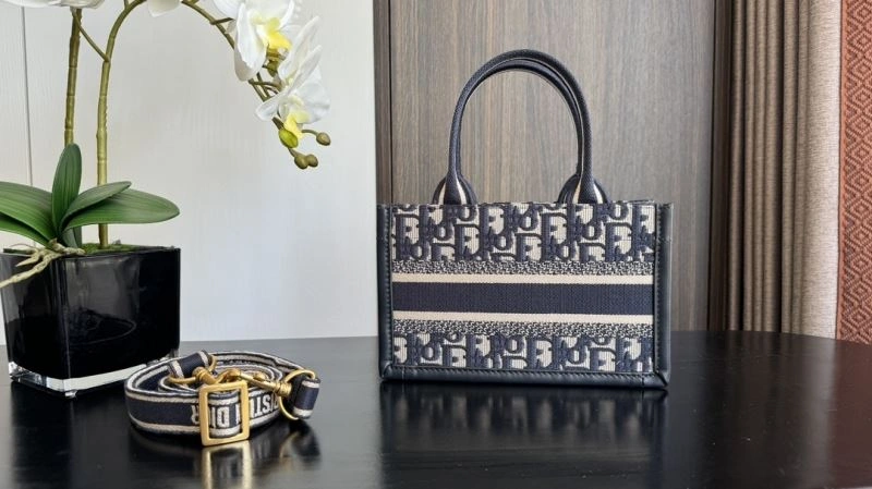 High accuracy Christian Dior Shopping Bags