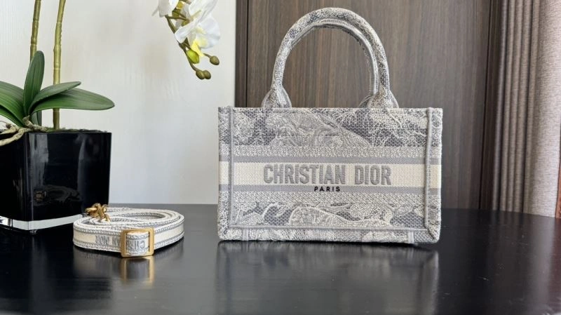 Accurate model Christian Dior Shopping Bags