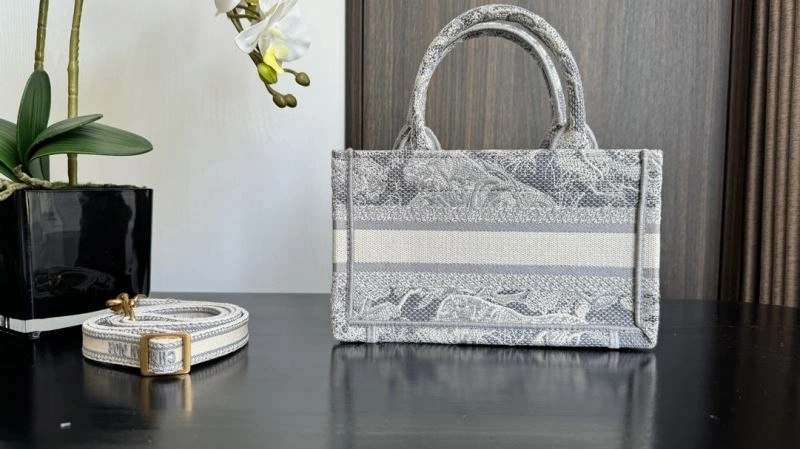 Accurate model Christian Dior Shopping Bags