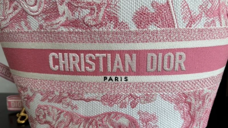 Accurate model Christian Dior Shopping Bags