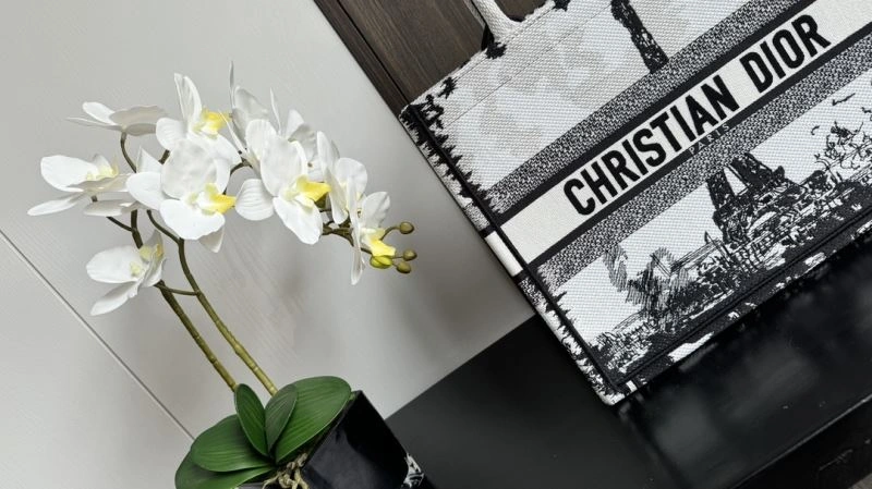 Affordable Christian Dior Shopping Bags