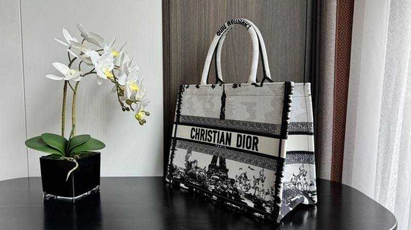 Affordable Christian Dior Shopping Bags