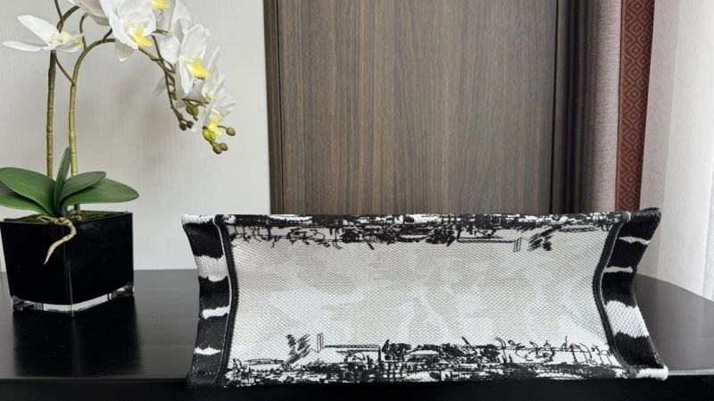 Affordable Christian Dior Shopping Bags