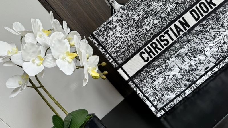 Budget-friendly Christian Dior Shopping Bags