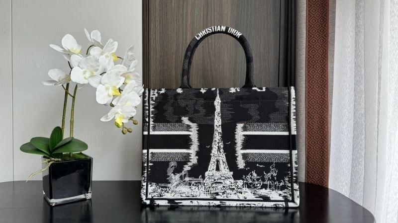 Affordable Christian Dior Shopping Bags