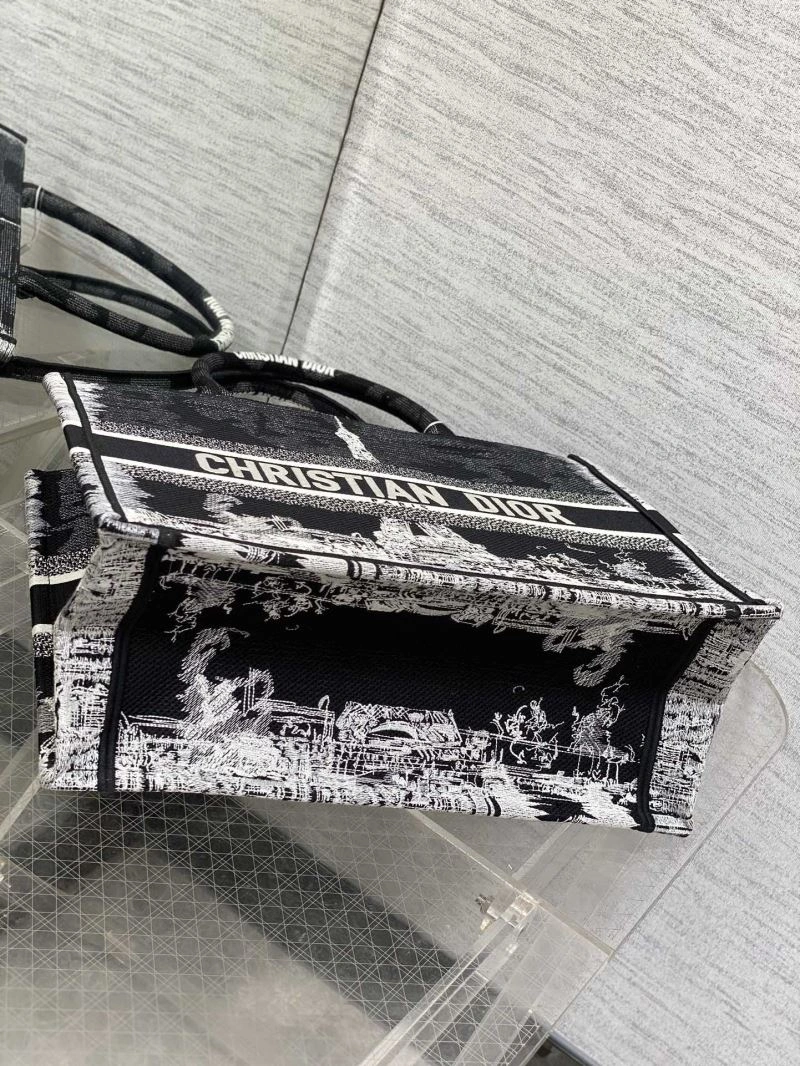 Accurate model Christian Dior Shopping Bags