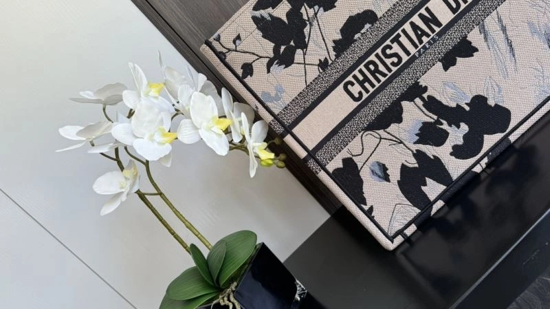 High fidelity Christian Dior Shopping Bags