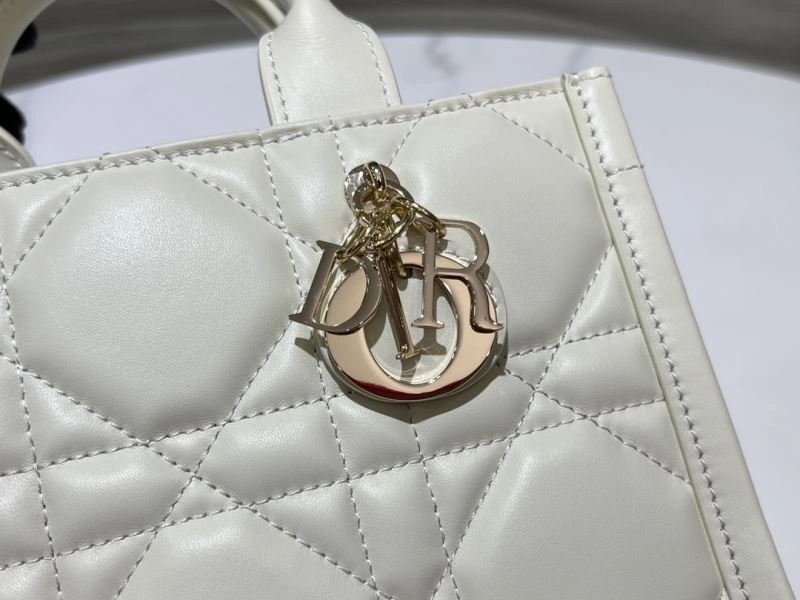 Accurate model Christian Dior Shopping Bags