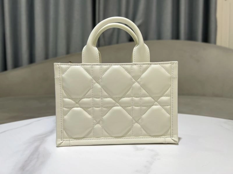 Accurate model Christian Dior Shopping Bags