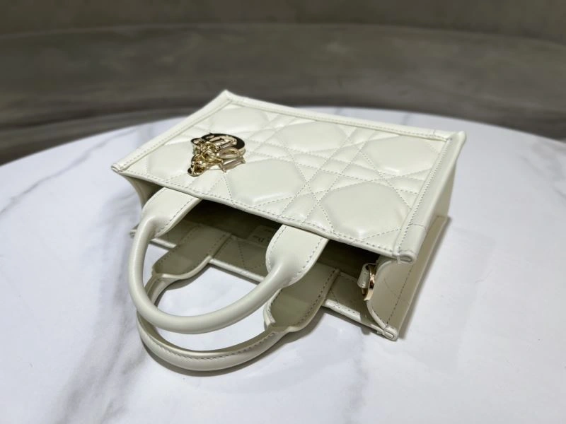 Accurate model Christian Dior Shopping Bags