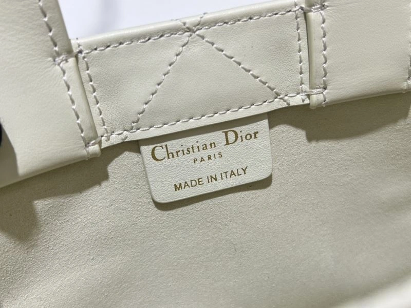 Accurate model Christian Dior Shopping Bags