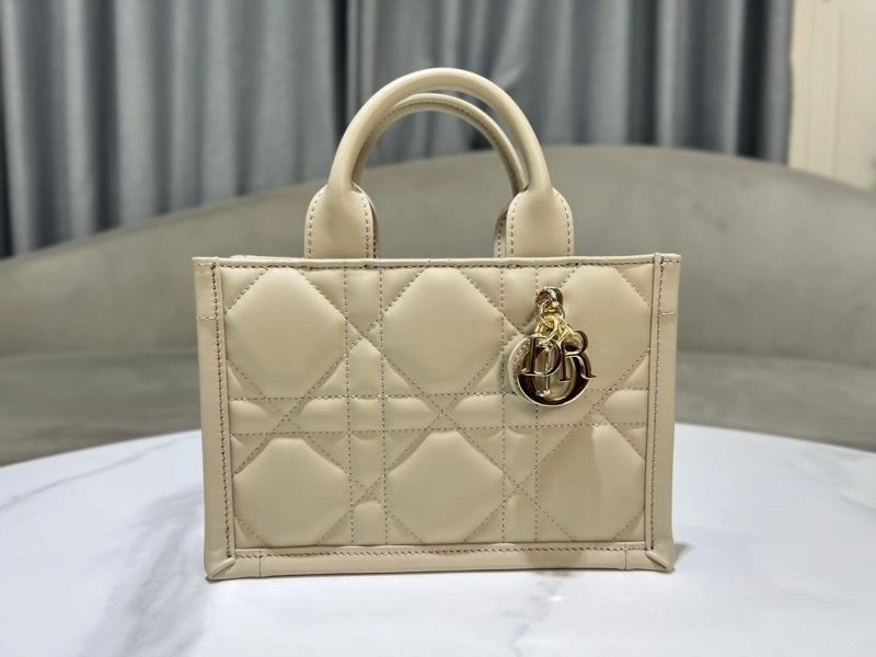 High accuracy Christian Dior Shopping Bags