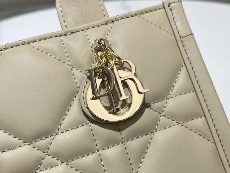 High accuracy Christian Dior Shopping Bags