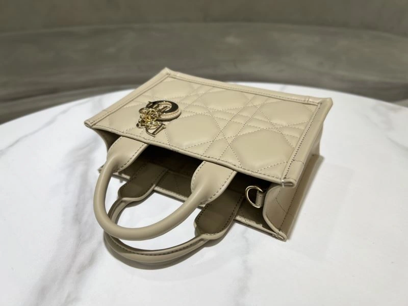 High accuracy Christian Dior Shopping Bags
