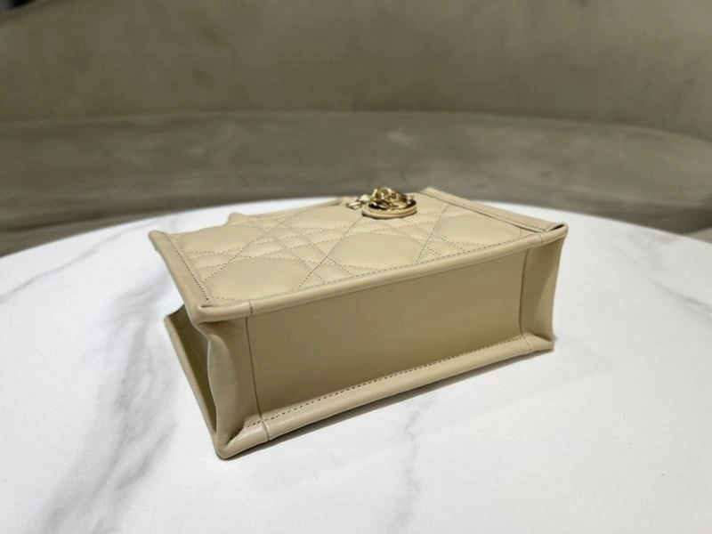 High accuracy Christian Dior Shopping Bags