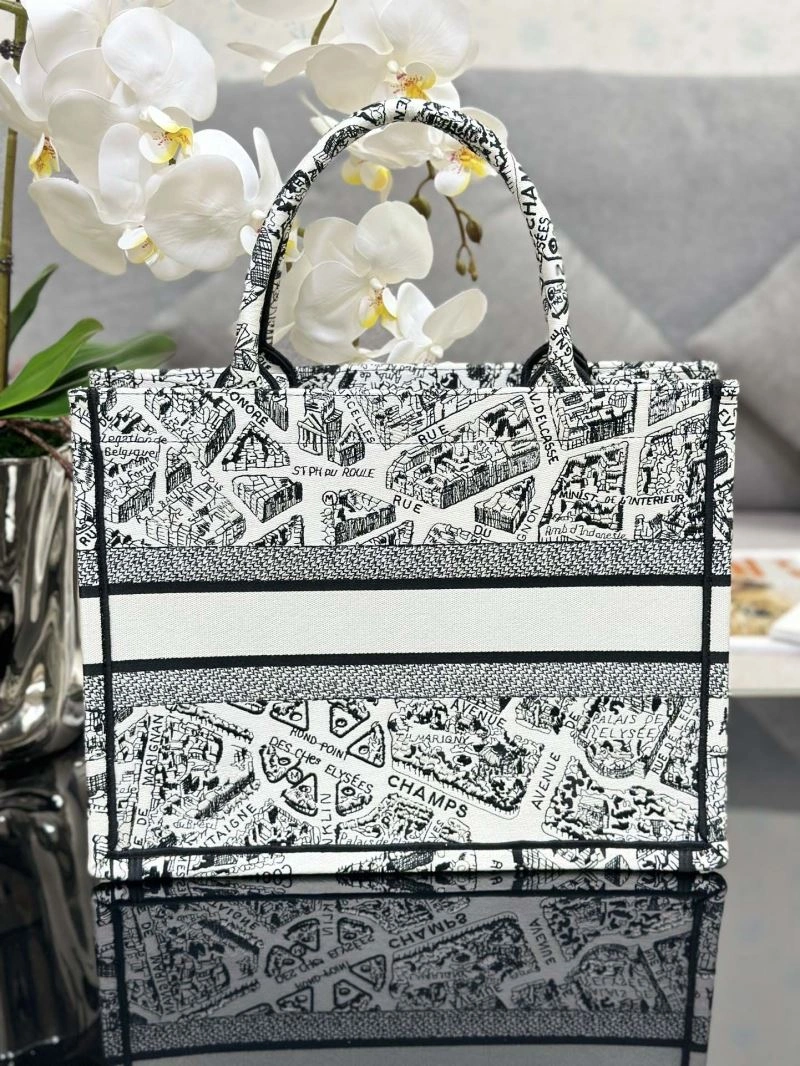 High fidelity Christian Dior Shopping Bags