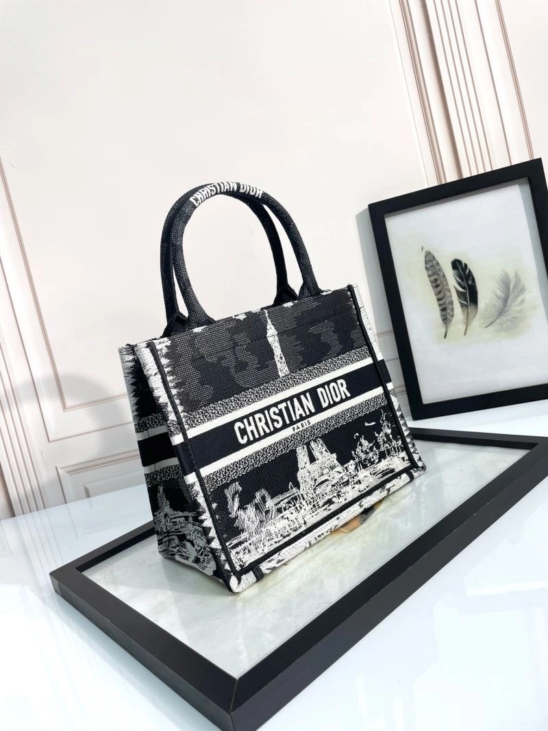 Accurate model Christian Dior Shopping Bags