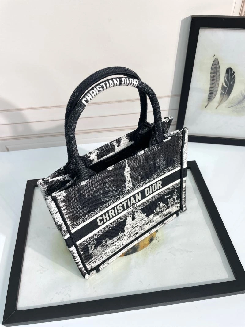 Accurate model Christian Dior Shopping Bags