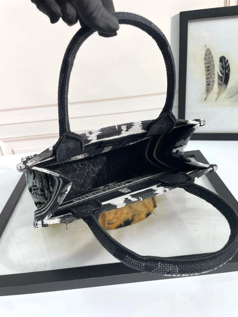 Accurate model Christian Dior Shopping Bags
