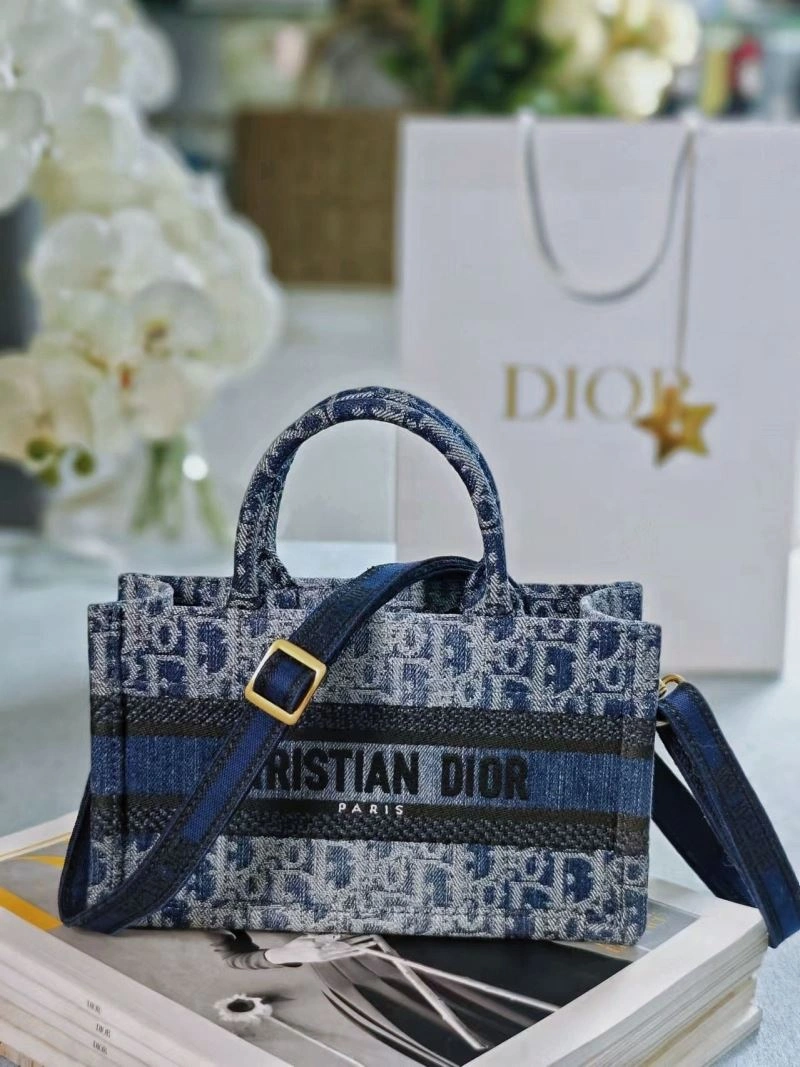 Accurate model Christian Dior Shopping Bags