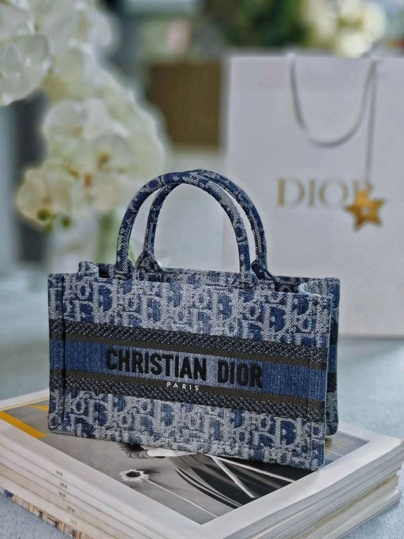 Accurate model Christian Dior Shopping Bags