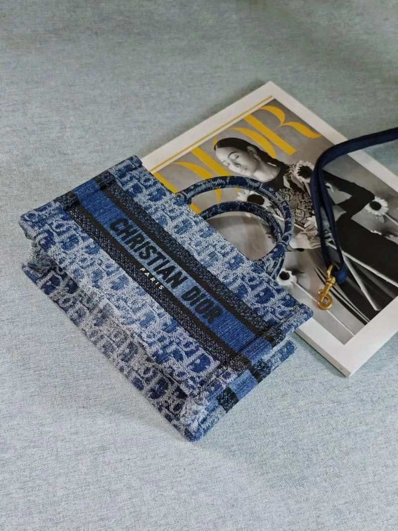 Accurate model Christian Dior Shopping Bags