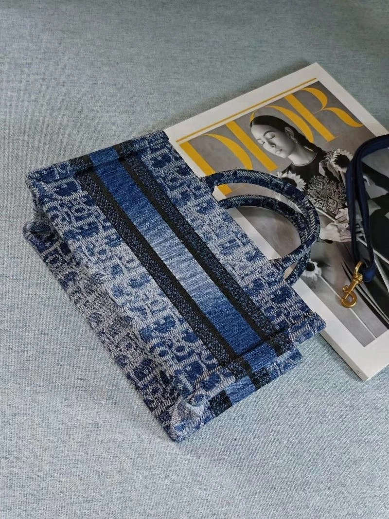 Accurate model Christian Dior Shopping Bags